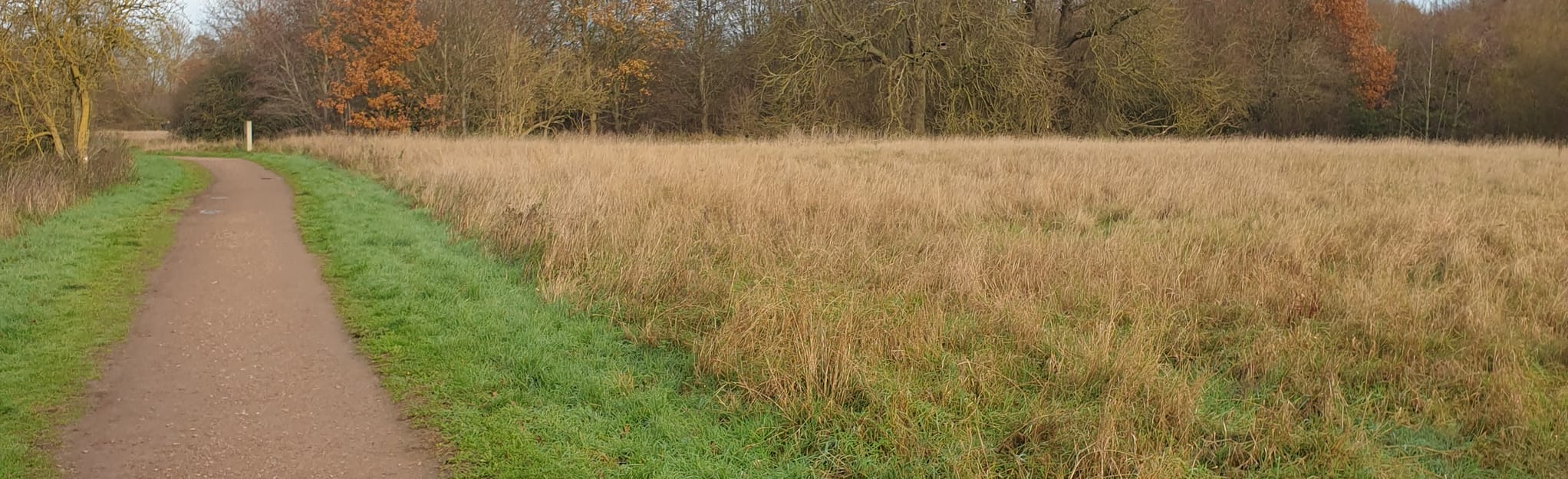 Stanwick Lakes and River Nene Circular, Northamptonshire, England - 33 ...