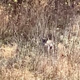 Linear Trail, Kansas - 194 Reviews, Map | AllTrails