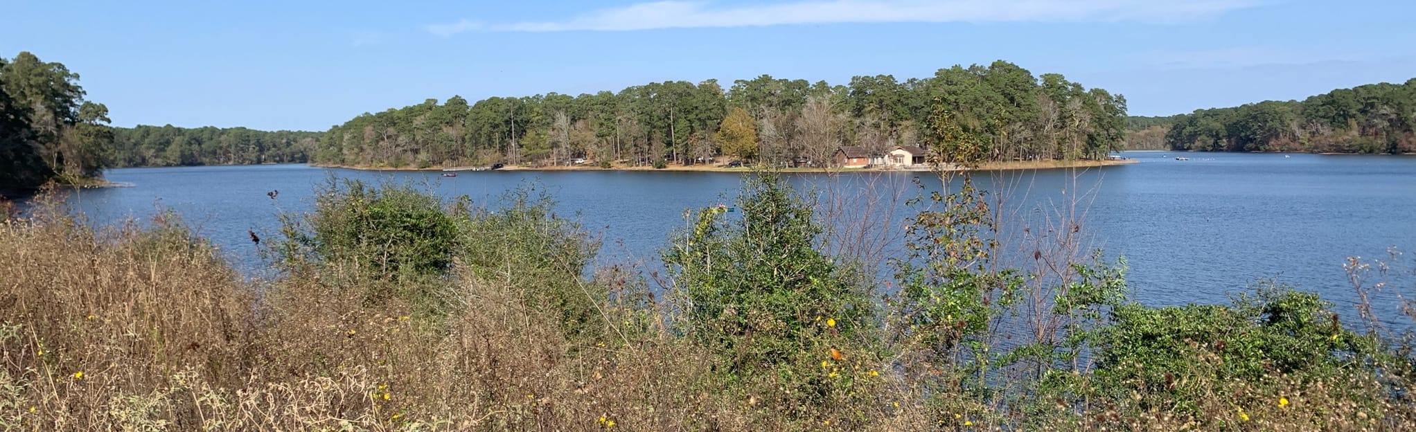 Chinquapin Loop Trail, Texas - 2,301 Reviews, Map | AllTrails