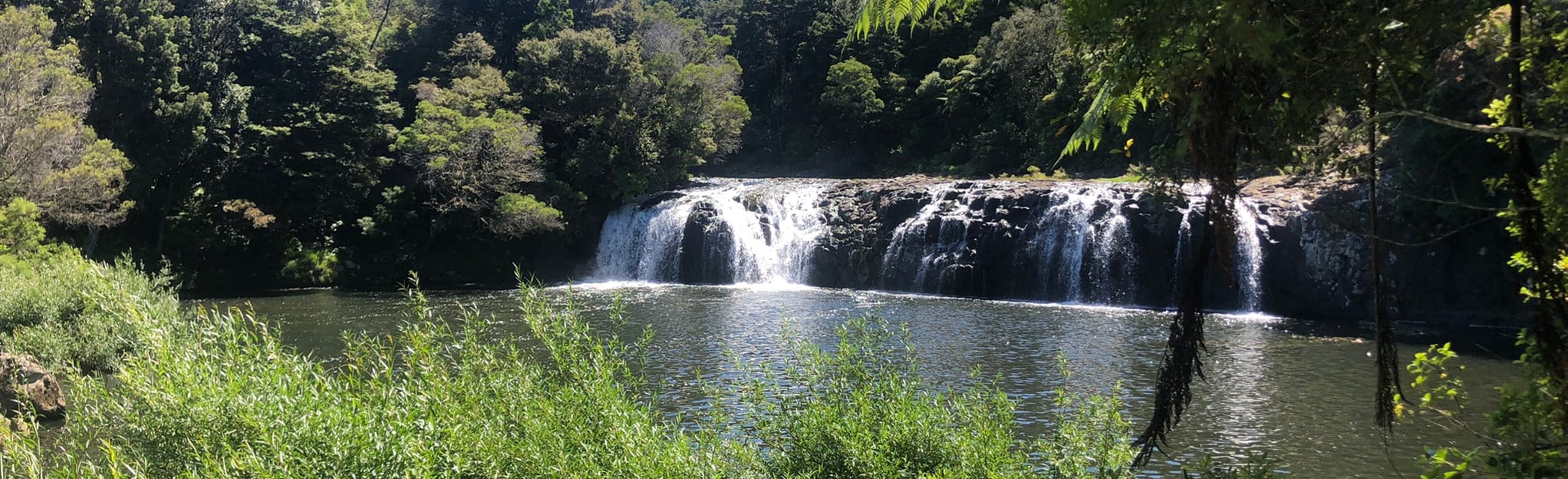 Kerikeri River Track, Northland, New Zealand - 121 Reviews, Map | AllTrails