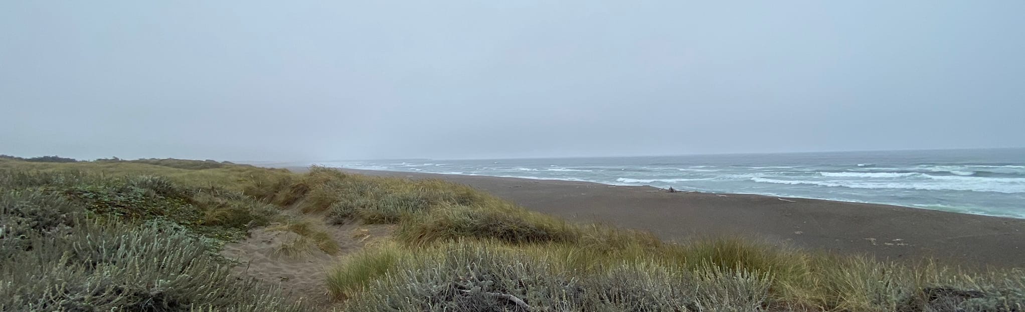 Manchester Beach Walk, California - 15 Reviews, Map | AllTrails