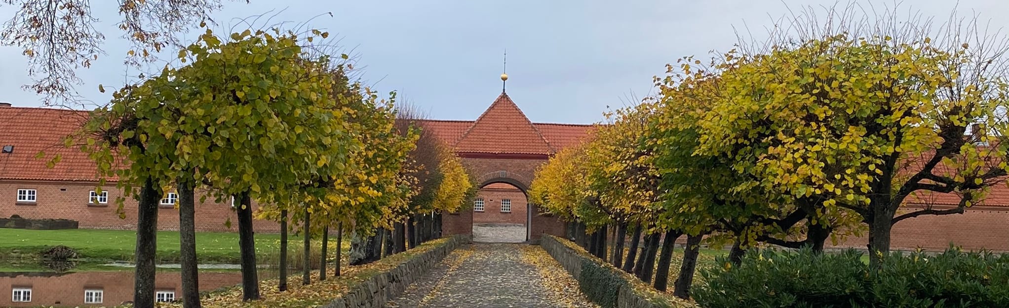 Daugaard Rundt, Central Denmark, Denmark - 53 Reviews, Map | AllTrails