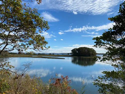 Best Hikes and Trails in Mashomack Preserve | AllTrails