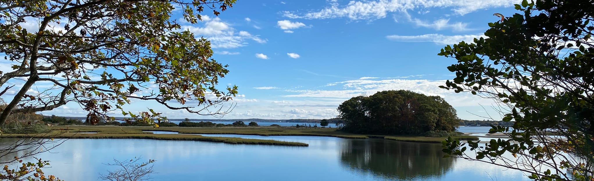 Mashomack Red Trail: 70 Reviews, Map - New York | AllTrails