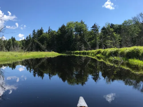 Best 10 Hikes and Trails in Jessup River Wild Forest | AllTrails