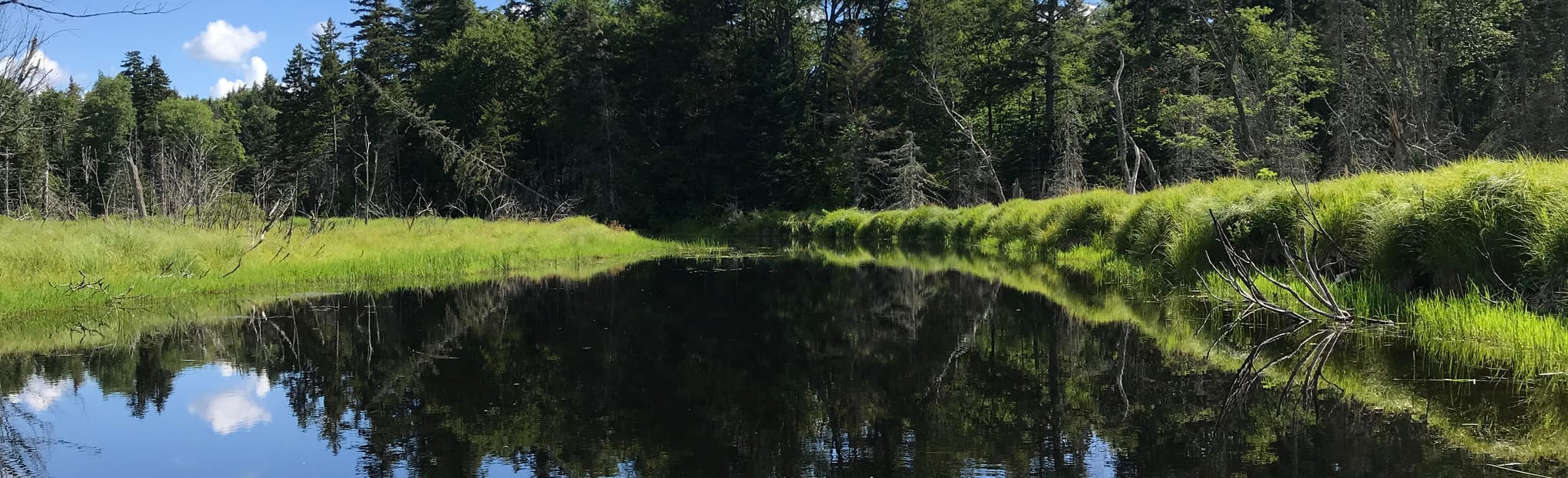 Fall Lake and Vly Lake Paddle Route via Fall Stream, New York - 8 ...