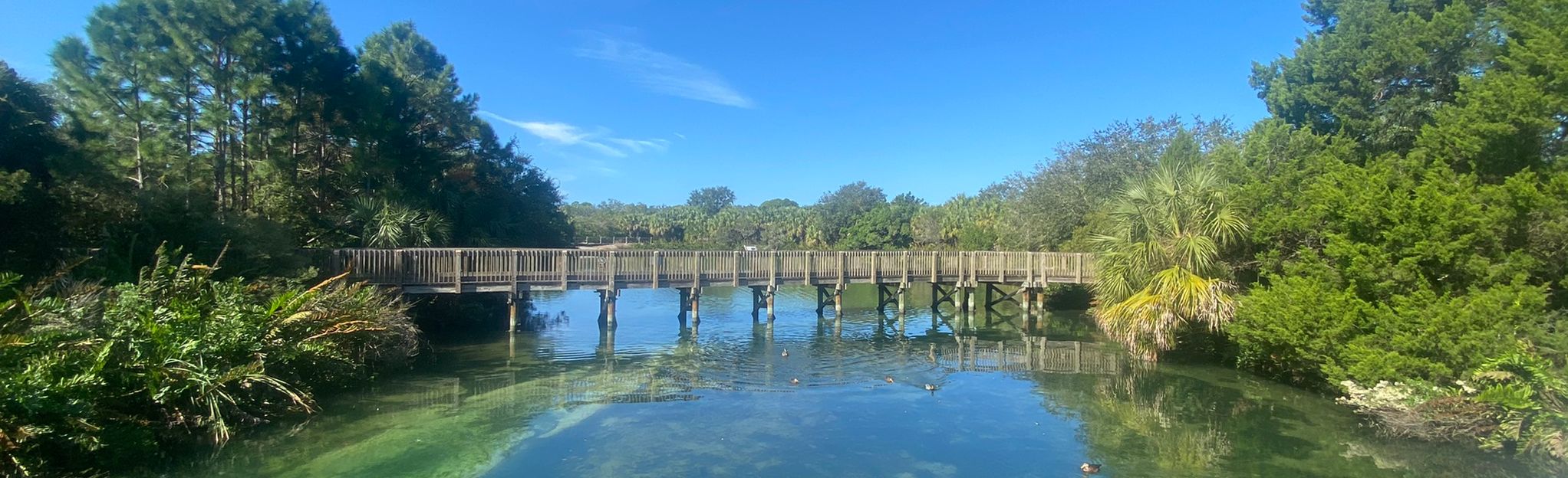 Pinellas Trail at Wall Springs Park, Florida - 262 Reviews, Map | AllTrails
