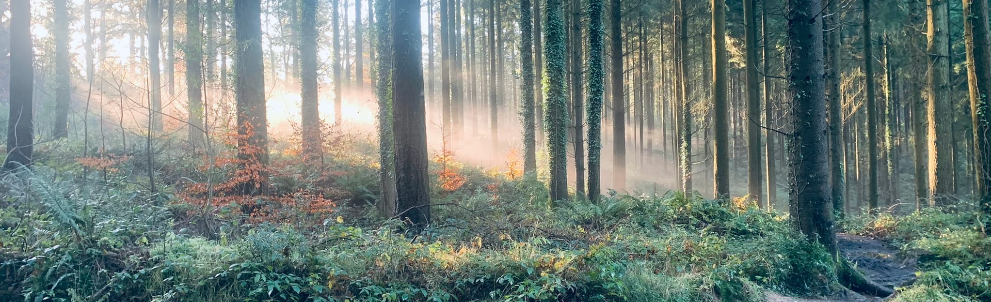 Center Parcs Longleat Forest Circular, Wiltshire, England - 85 Reviews ...