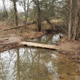 Silver Lake Loop, Virginia - 193 Reviews, Map | AllTrails