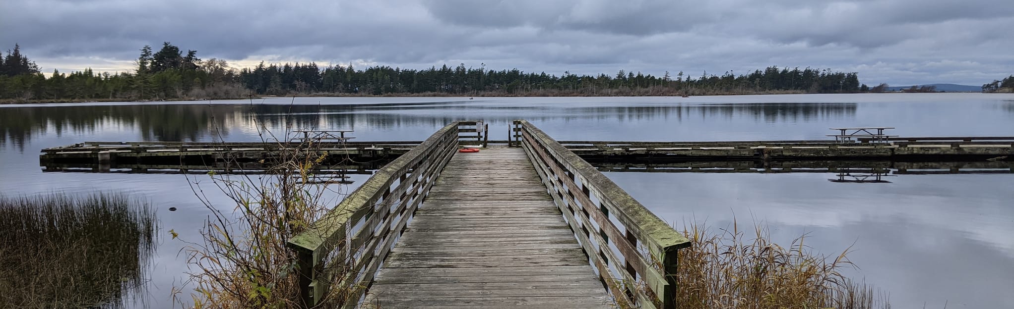 Cranberry Lake Trail, Washington - 110 Reviews, Map | AllTrails