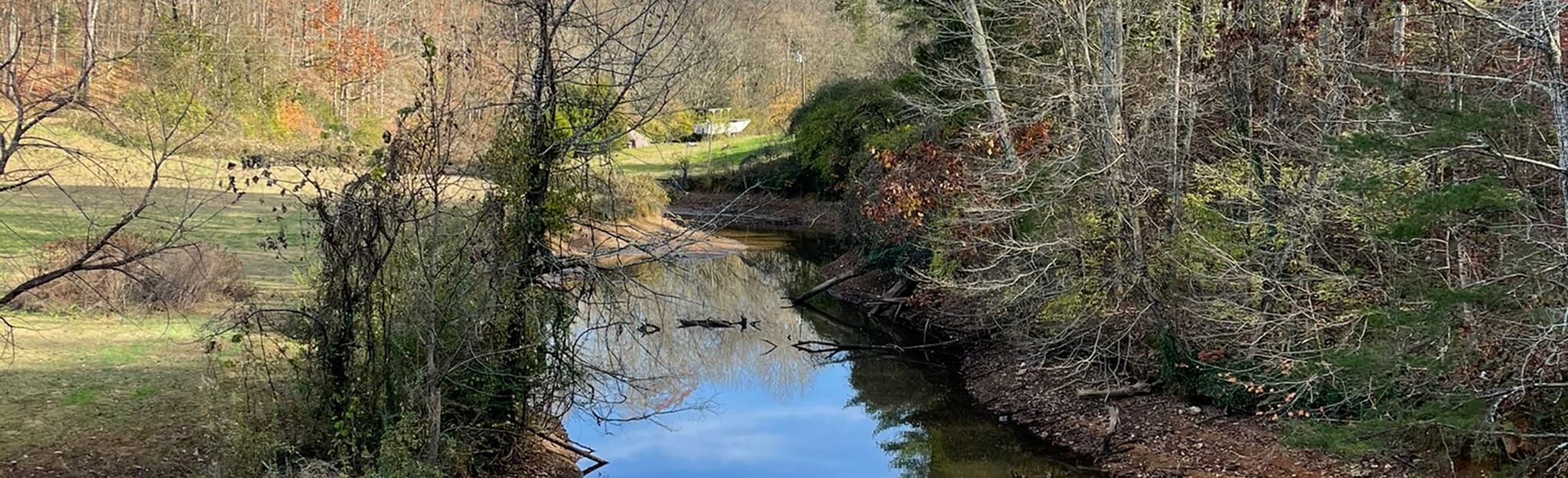 East Lakeshore Trail: Coytee Loop Branch, Tennessee - 203 Reviews, Map ...