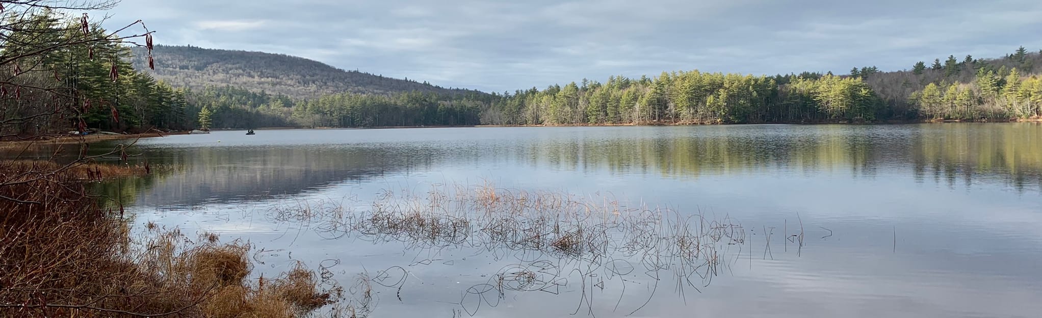 Pitcher Mountain to Center Pond, 62 Fotos - New Hampshire | AllTrails