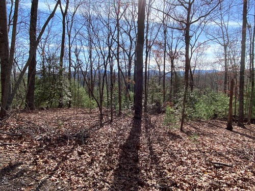 Best Hikes and Trails in Meeks Park | AllTrails