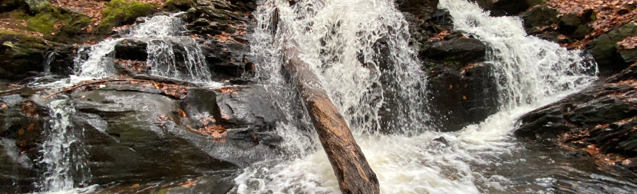 AllTrails | Senter Falls Loop Trail: 101 Reviews, Map - New Hampshire