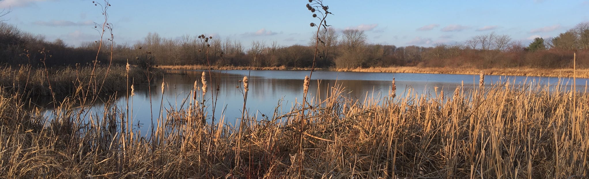 Old Stover Trailhead, Illinois - 52 Reviews, Map | AllTrails