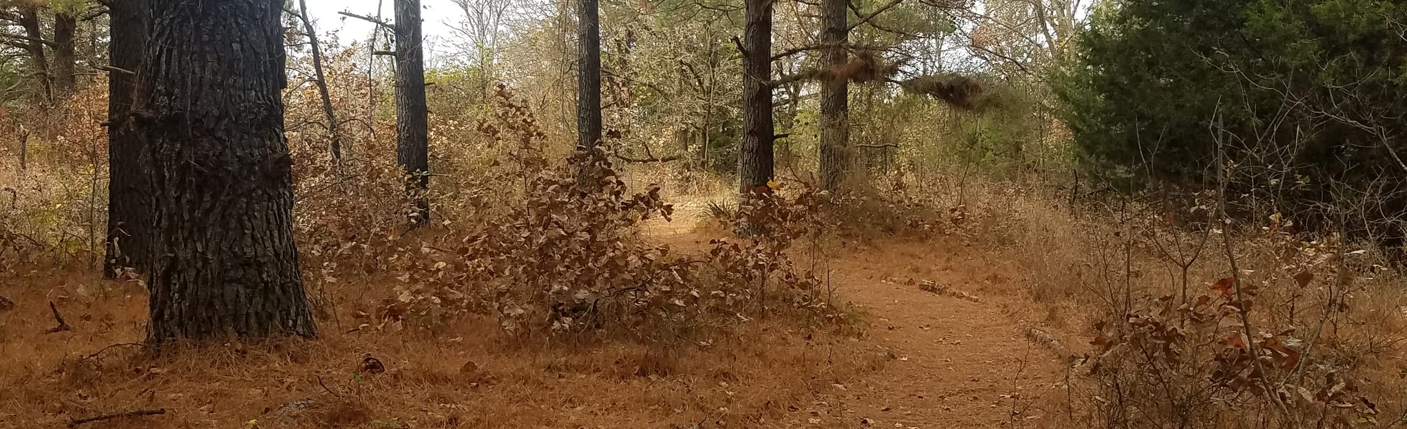 Eagle Activity Trail, Texas - 3 Reviews, Map | AllTrails