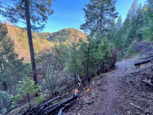 Best Hikes and Trails in Jacksonville Forest Park | AllTrails