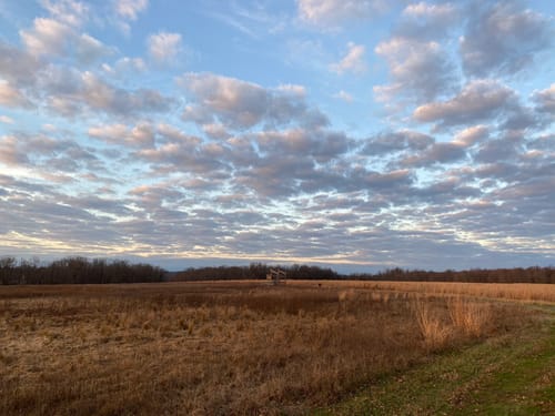 Best Hikes and Trails in Mercer Meadows | AllTrails