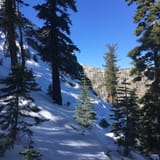 Becker Peak Trail, California - 125 Reviews, Map | AllTrails