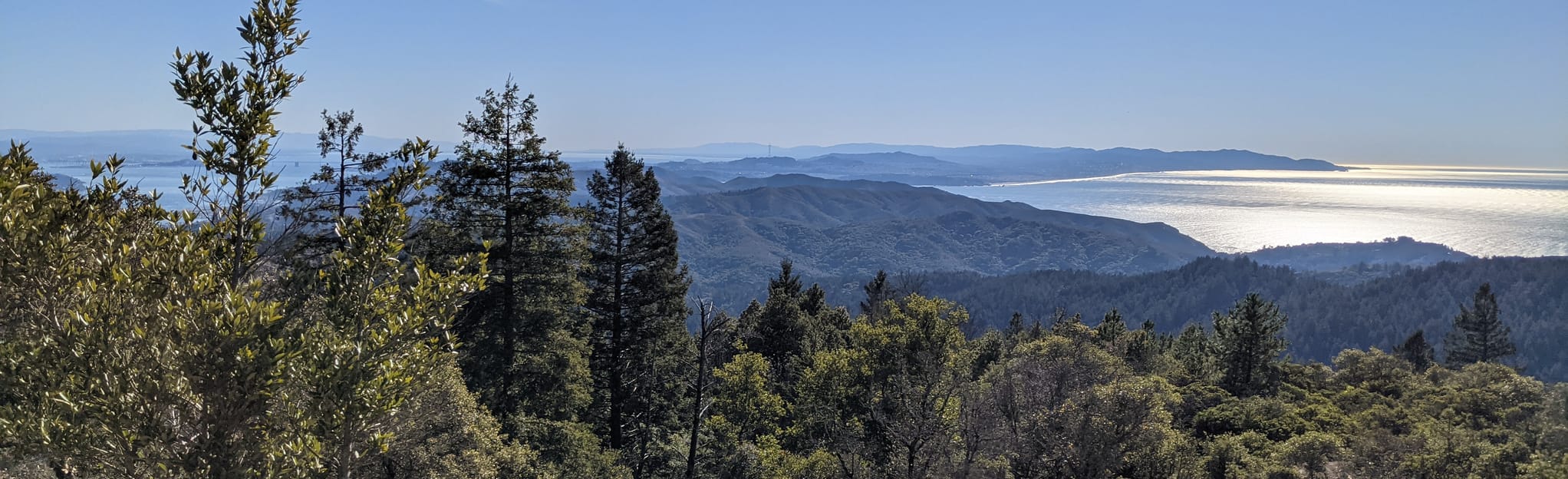 Muir Woods to Mount Tamalpais: 203 Reviews, Map - California | AllTrails