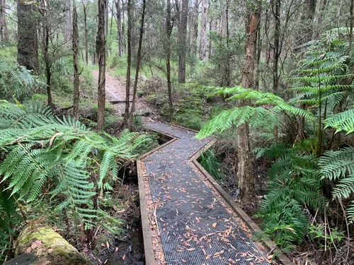 10 Best Hikes and Trails in Bunyip State Park | AllTrails