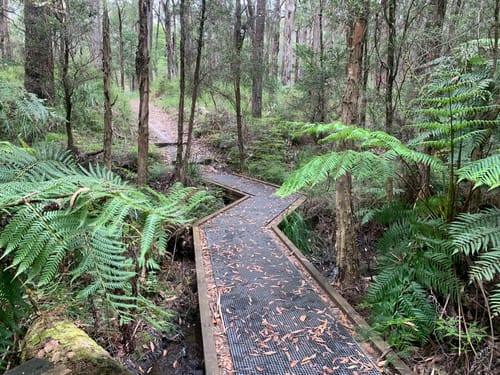 2023 Best 10 Views Trails in Bunyip State Park | AllTrails