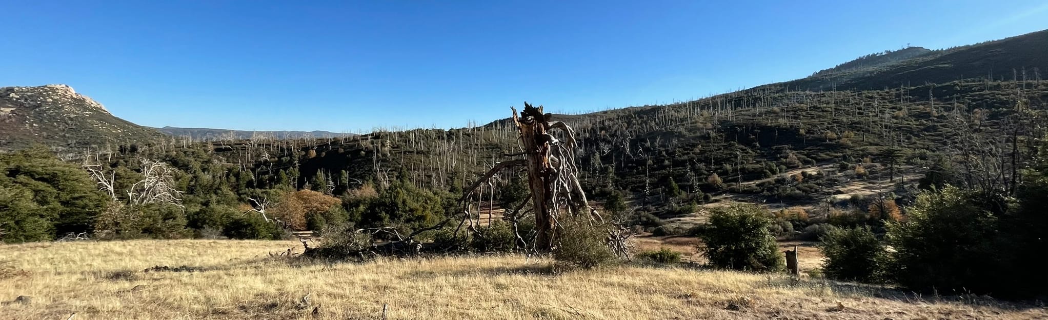 Milk Ranch Road and Middle Peak Loop, California - 143 Reviews, Map ...