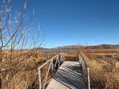 Best Hikes and Trails in Swan Lake Nature Study Area | AllTrails