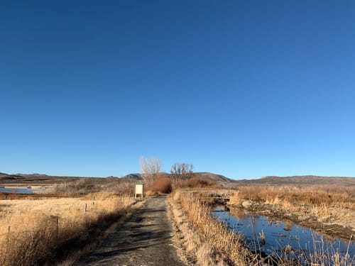 Best Hikes and Trails in Swan Lake Nature Study Area | AllTrails