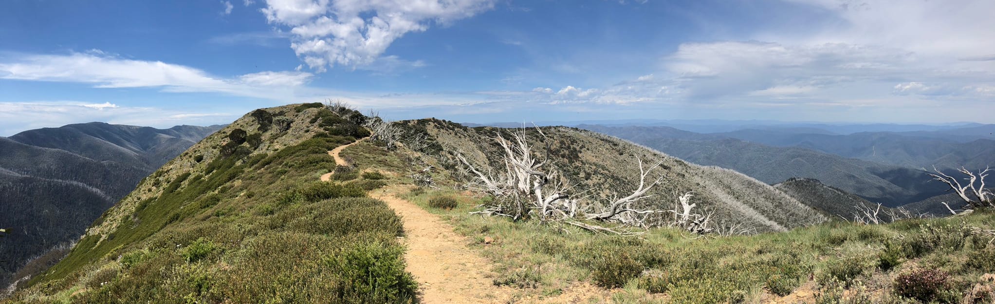 Harrietville to Hotham Heights via Mt Feathertop and Razorback Ridge ...