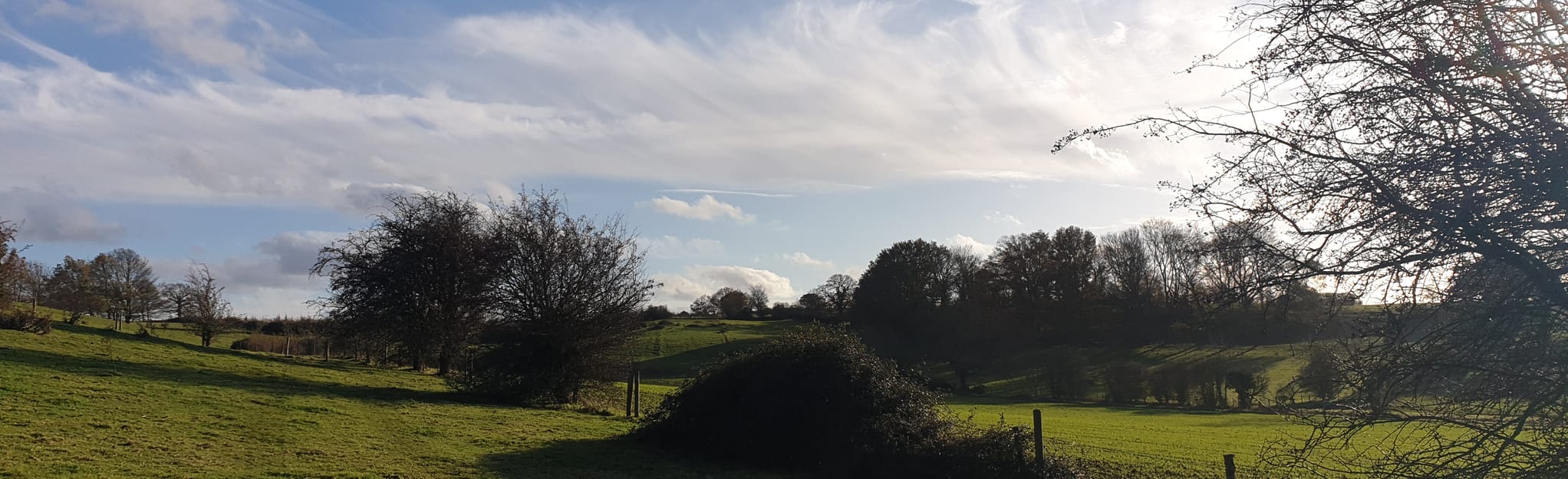 Wormingford Hills: 81 Reviews, Map - Essex, England | AllTrails