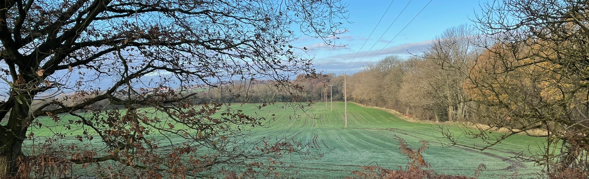 Willesley Woods Circular, Leicestershire, England - 4 Reviews, Map ...