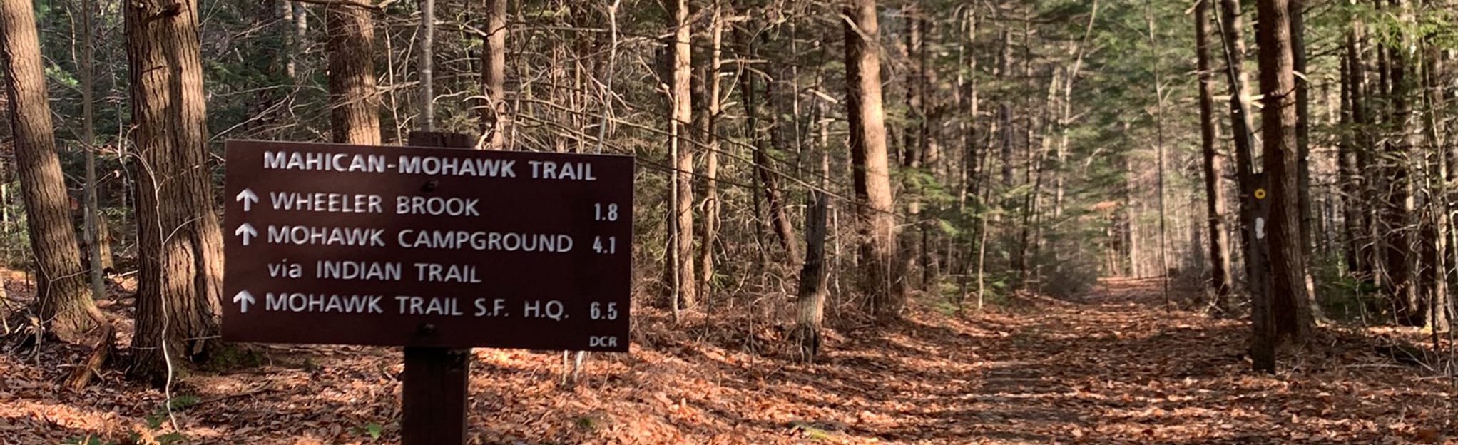 Mohawk Trail to Clark Mountain, Massachusetts - 17 Reviews, Map | AllTrails
