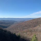 Mathews Arm Overall Run Trail, Virginia - 233 Reviews, Map | AllTrails