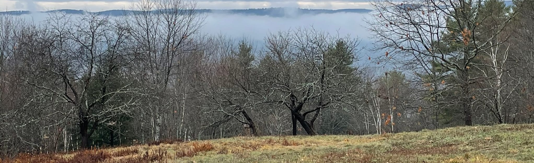 Grasse, Piane, Hunter East-West, Maple, Garripay, and Champman Trail ...