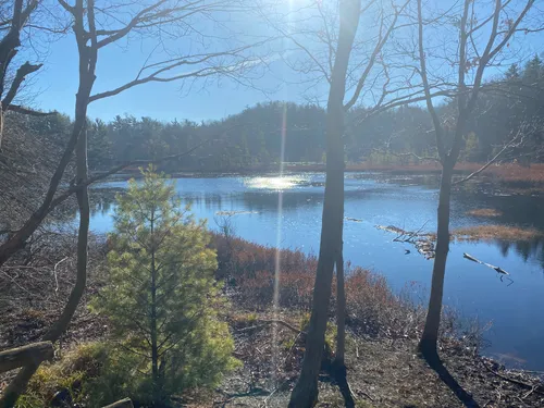 Best Walking Trails in Muskegon State Park | AllTrails