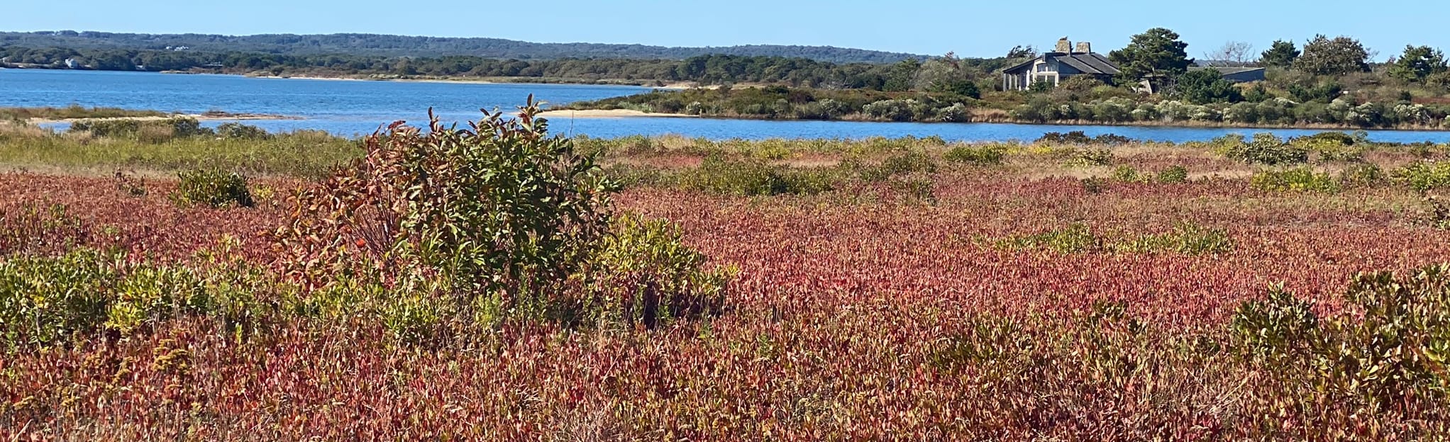 West Beach Meadow Loop, Massachusetts - 17 Reviews, Map | AllTrails