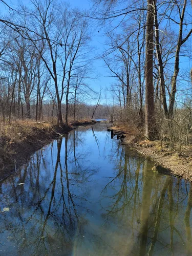 10 Best Lake Trails in Chain O' Lakes State Park | AllTrails