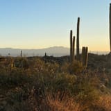 Dixie Mine Trail, Arizona - 147 Reviews, Map | AllTrails
