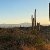 Dixie Mine Trail, Arizona - 147 Reviews, Map | AllTrails