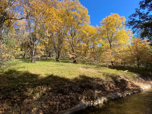 Best 10 Hikes and Trails in Stanislaus National Forest | AllTrails