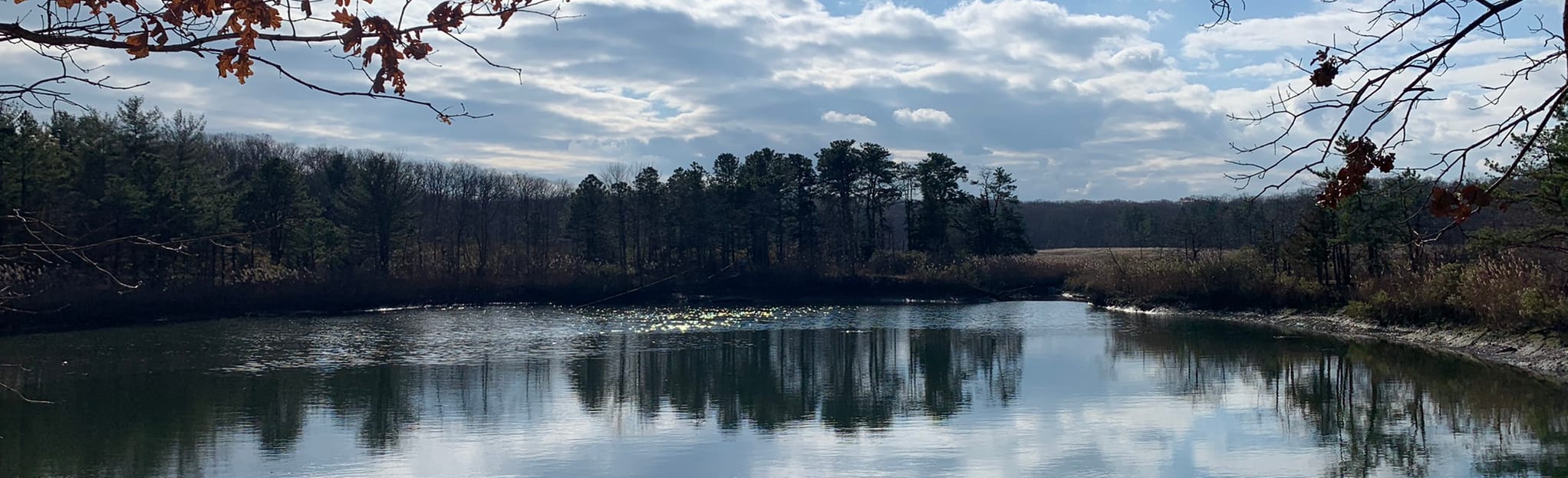 Cheesequake Green Trail, New Jersey - 2,454 Reviews, Map | AllTrails