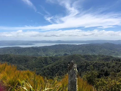 10 Best Hikes and Trails in Remutaka Forest Park | AllTrails