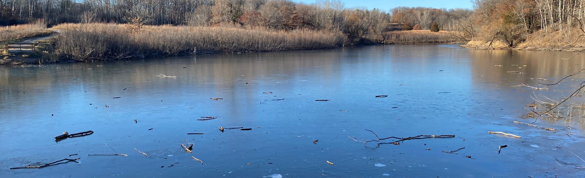 Katherine Abbott Park Loop, Minnesota - 92 Reviews, Map | AllTrails