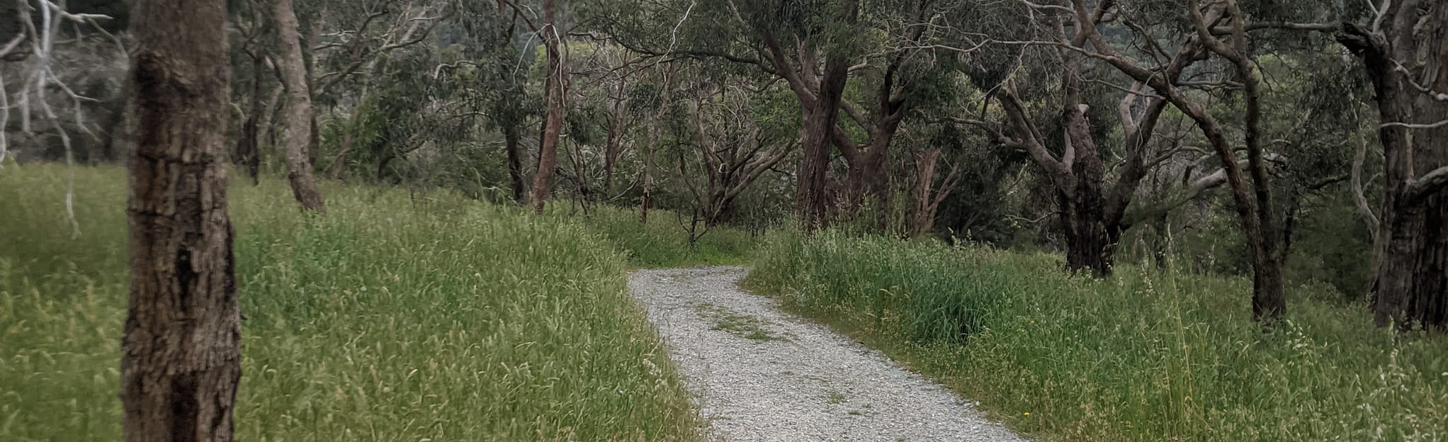 Glenfern Valley Bushland Loop - Victoria, Australia | AllTrails