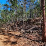 Mount Coot-tha Simpsons Falls Circuit, Queensland, Australia - 241 ...