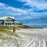 Timpoochee Trail, Florida - 159 Reviews, Map | AllTrails