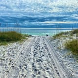 Timpoochee Trail, Florida - 159 Reviews, Map | AllTrails