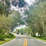 Timpoochee Trail, Florida - 159 Reviews, Map | AllTrails