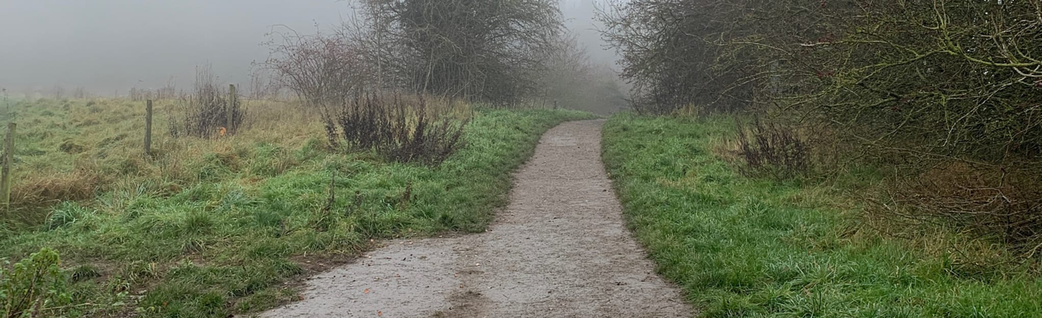 Weekly Hall Wood, Northamptonshire, England - 32 Reviews, Map | AllTrails